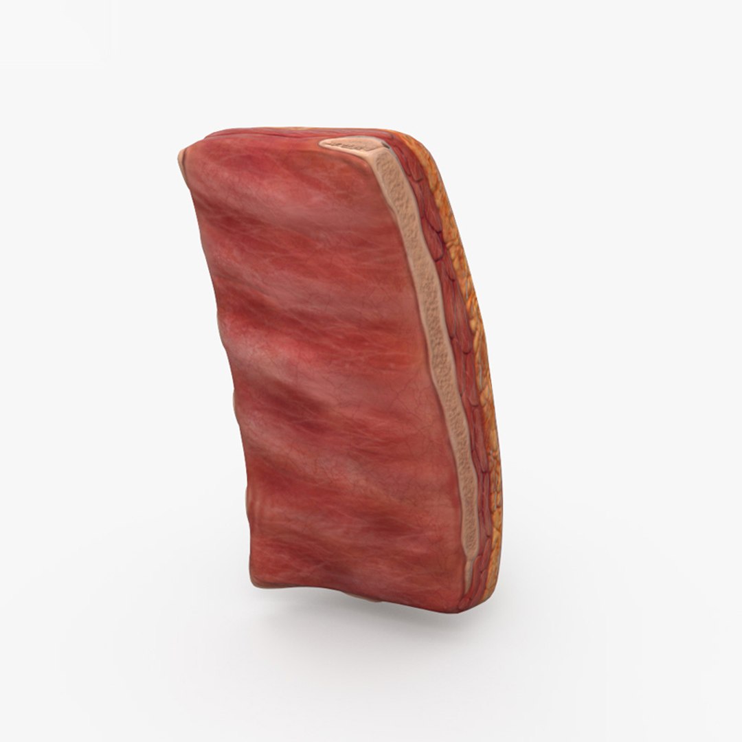 Female Breast 3D Model - TurboSquid 1692730