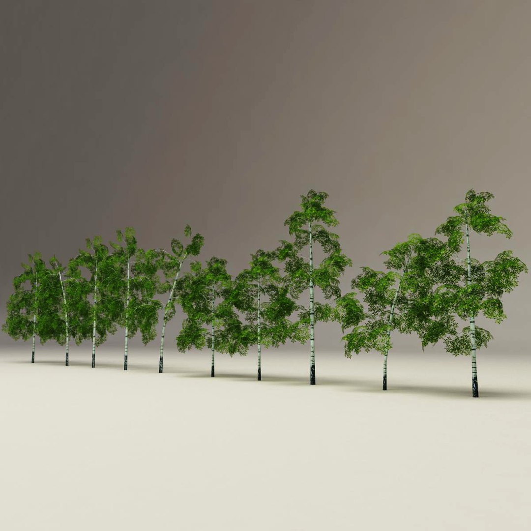 3d Model Low-poly Birch Trees V2
