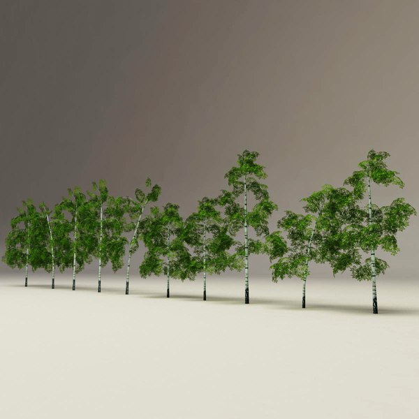 3d model low-poly birch trees v2