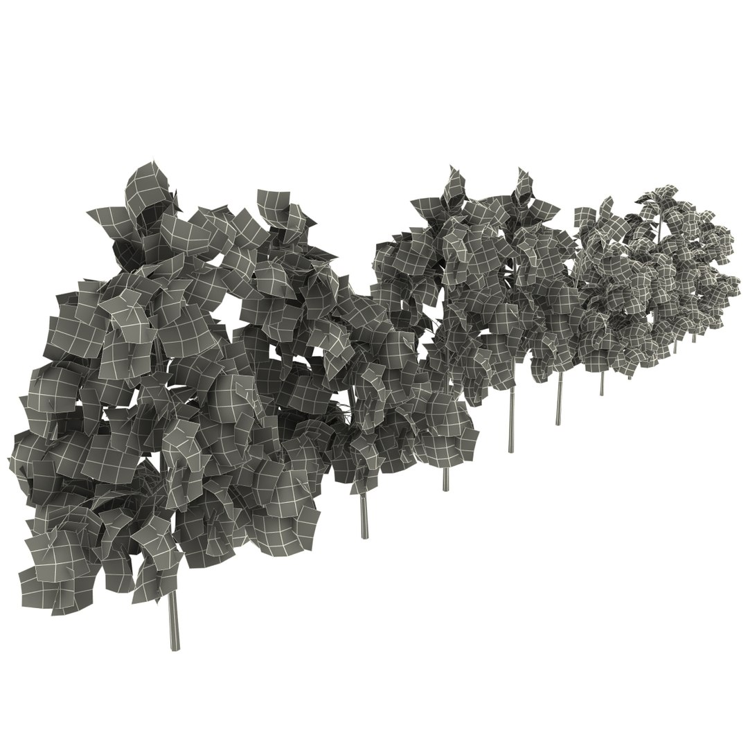 3d Model Low-poly Birch Trees V2