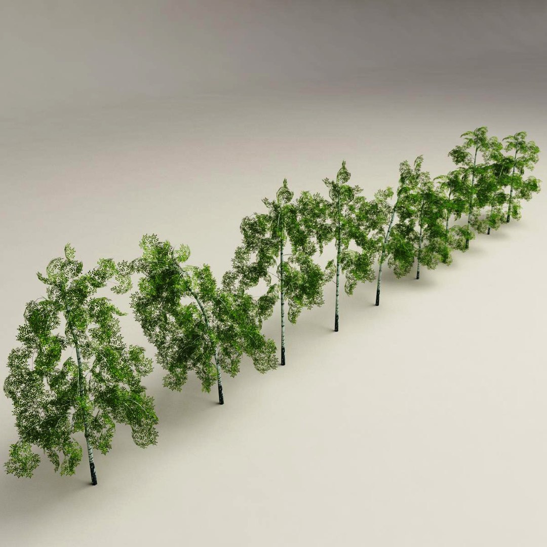 3d Model Low-poly Birch Trees V2