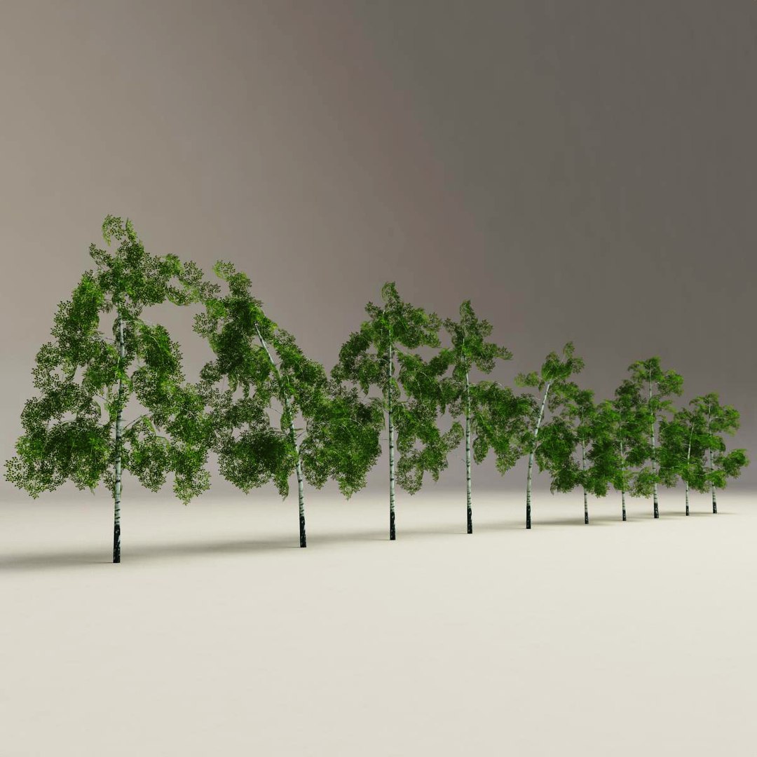 3d Model Low-poly Birch Trees V2