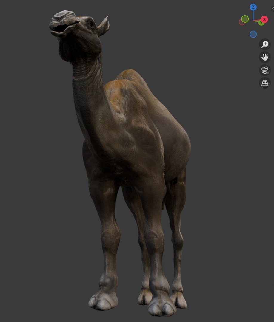 3D Realistic 3D Camel Model - TurboSquid 2333280