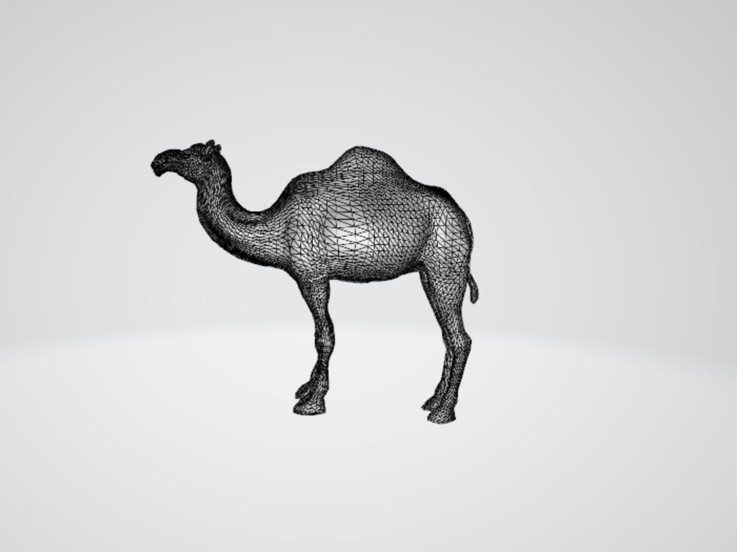 3D Realistic 3D Camel Model - TurboSquid 2333280