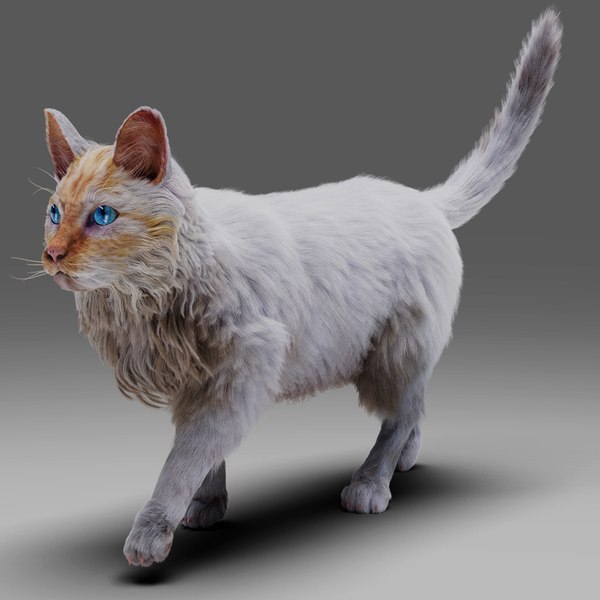 Rigged Cat Blender Models for Download | TurboSquid