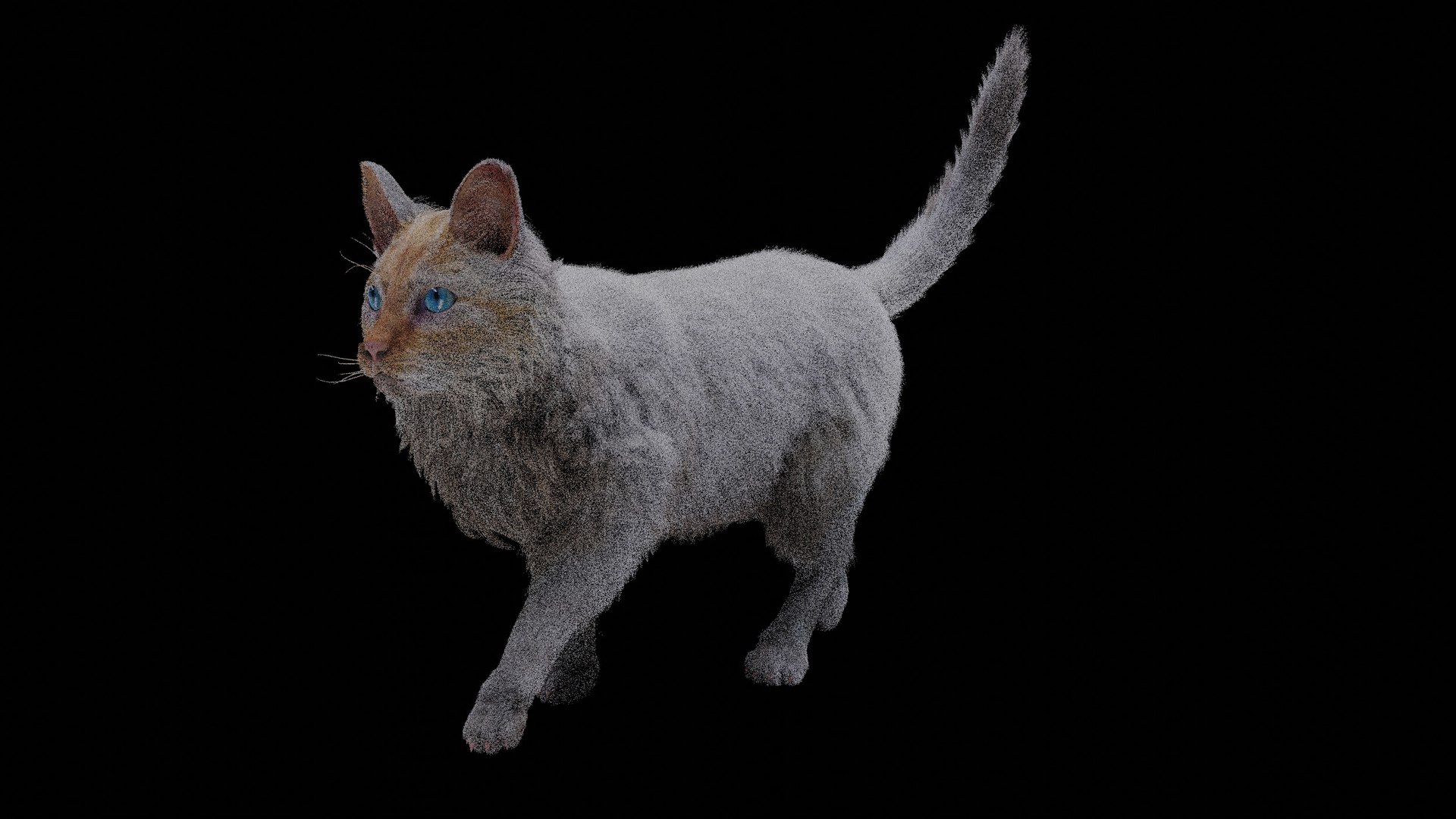 3D Fur Cat White Rigged And Animated - TurboSquid 1981413