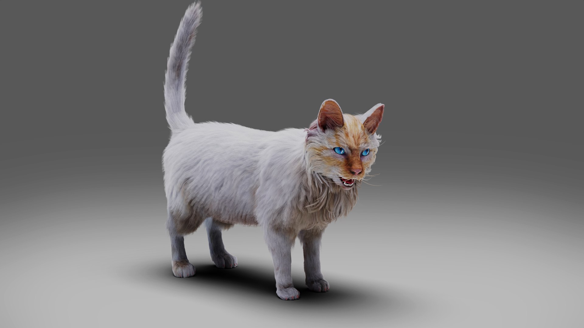 3D Fur Cat White Rigged And Animated - TurboSquid 1981413