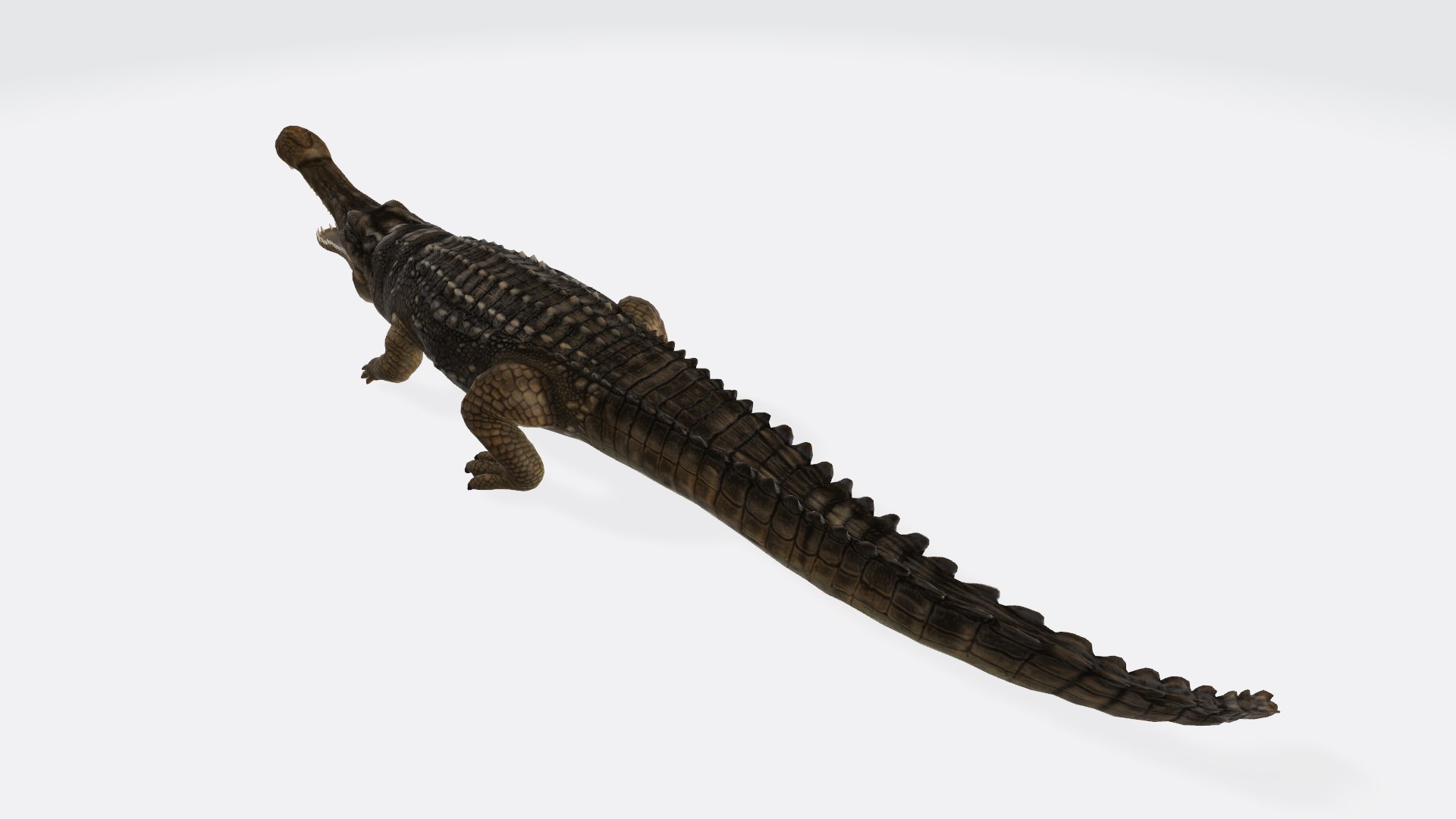 Sarcosuchus 3D Model Ready To Print Model - TurboSquid 2285700