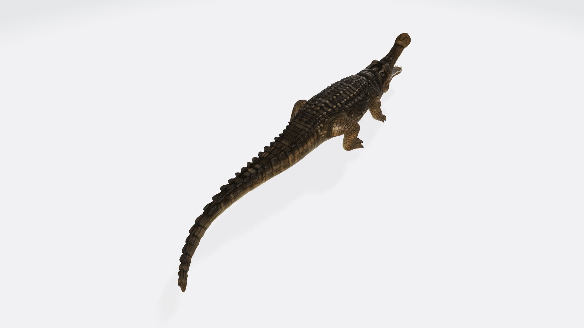 Sarcosuchus 3D Model Ready To Print Model - TurboSquid 2285700