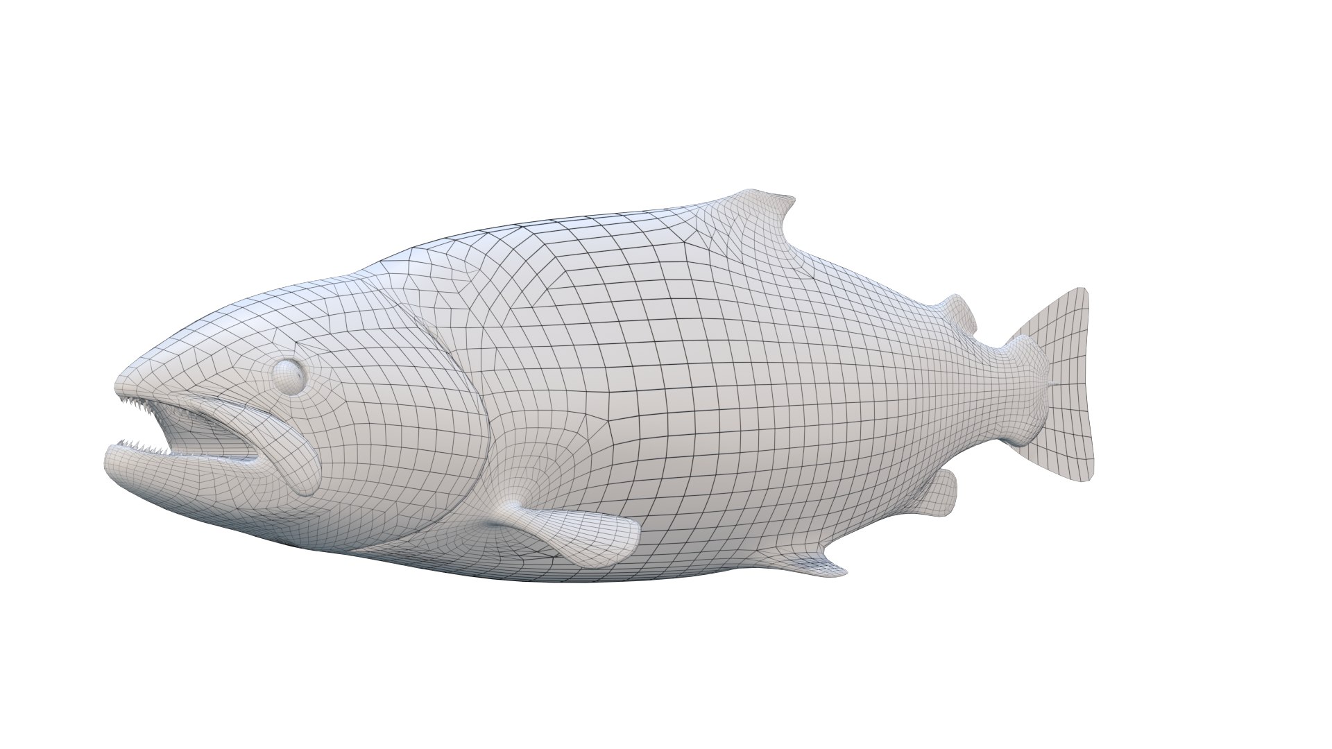 3D Sea Trout Fish 3D Model Model - TurboSquid 2313520