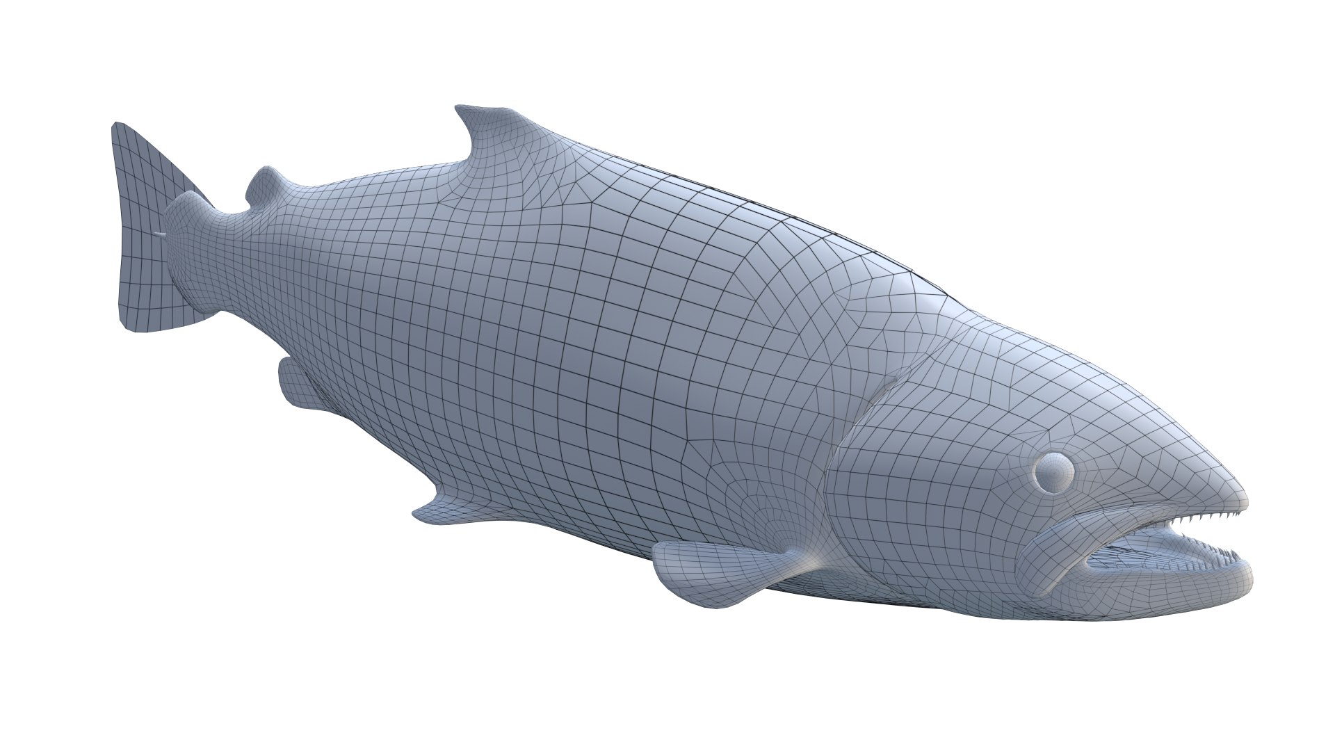 3D Sea Trout Fish 3D Model Model - TurboSquid 2313520