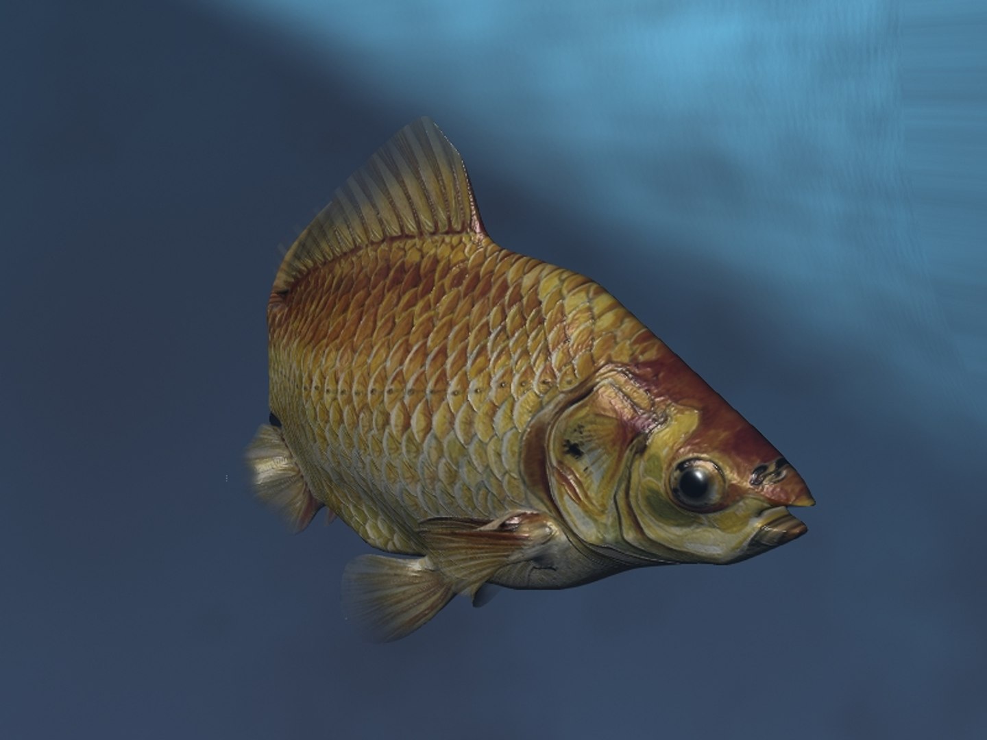 lightwave goldfish fish