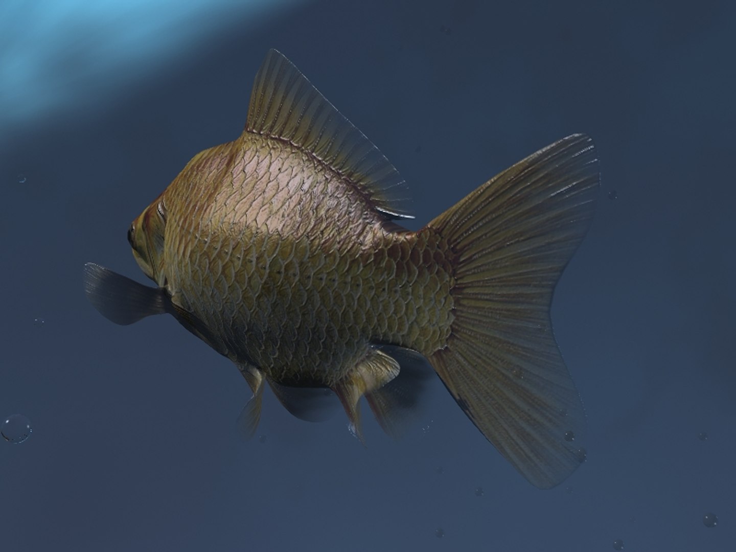 lightwave goldfish fish