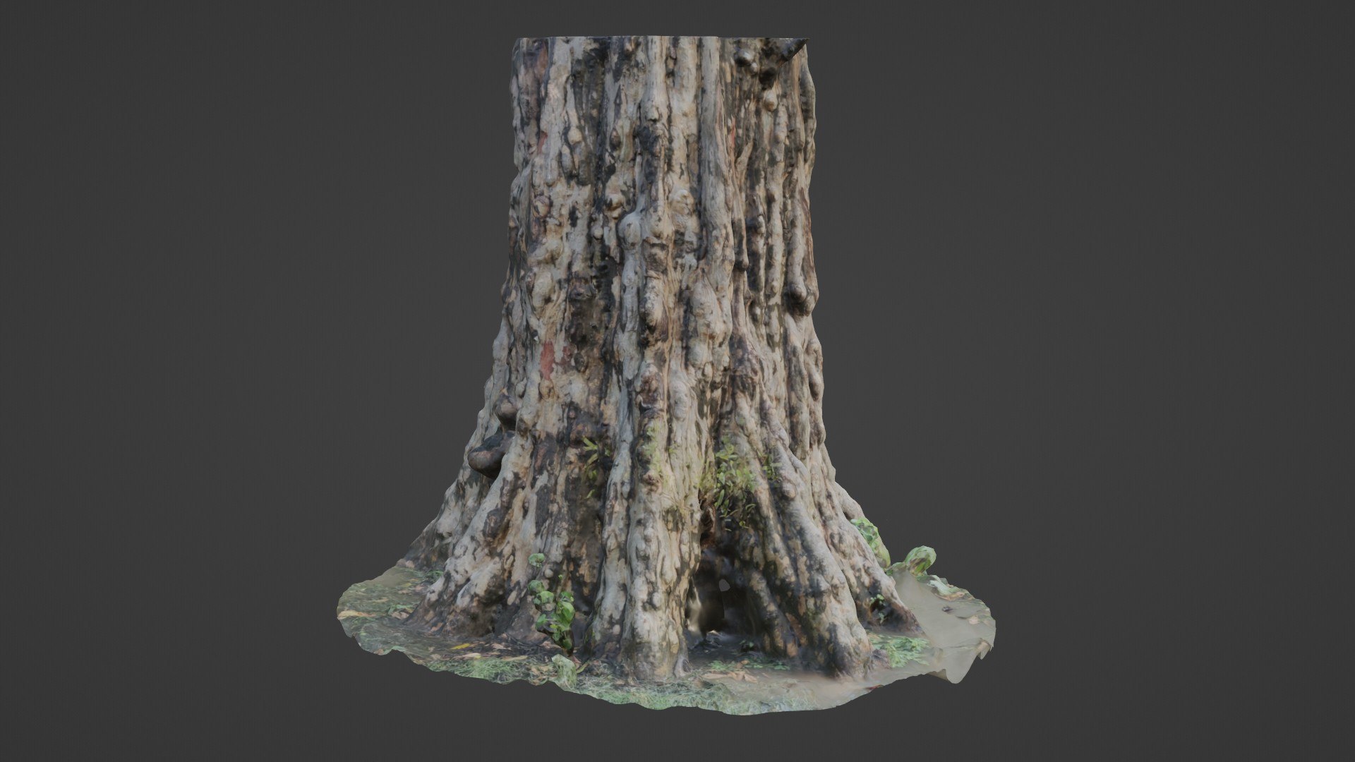 Tree Scan 3D - TurboSquid 2329663