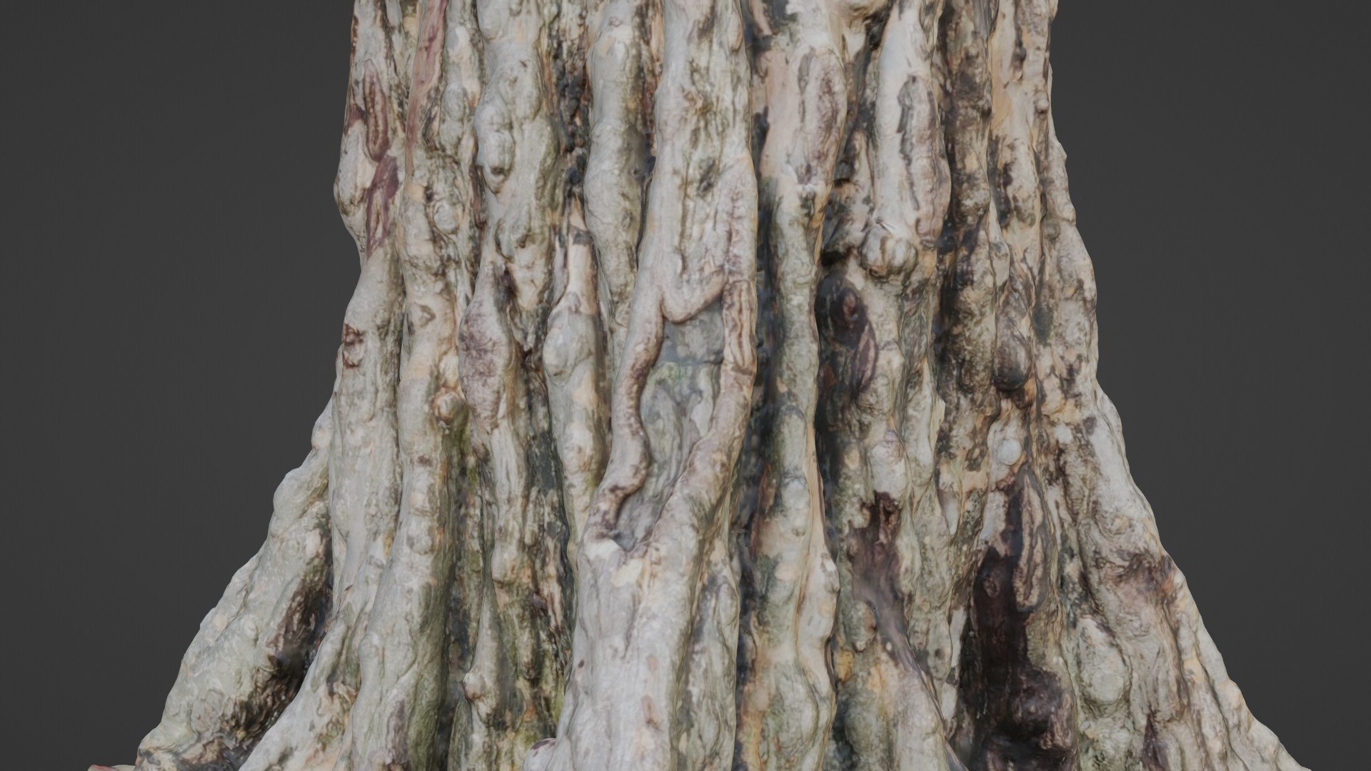 Tree Scan 3D - TurboSquid 2329663