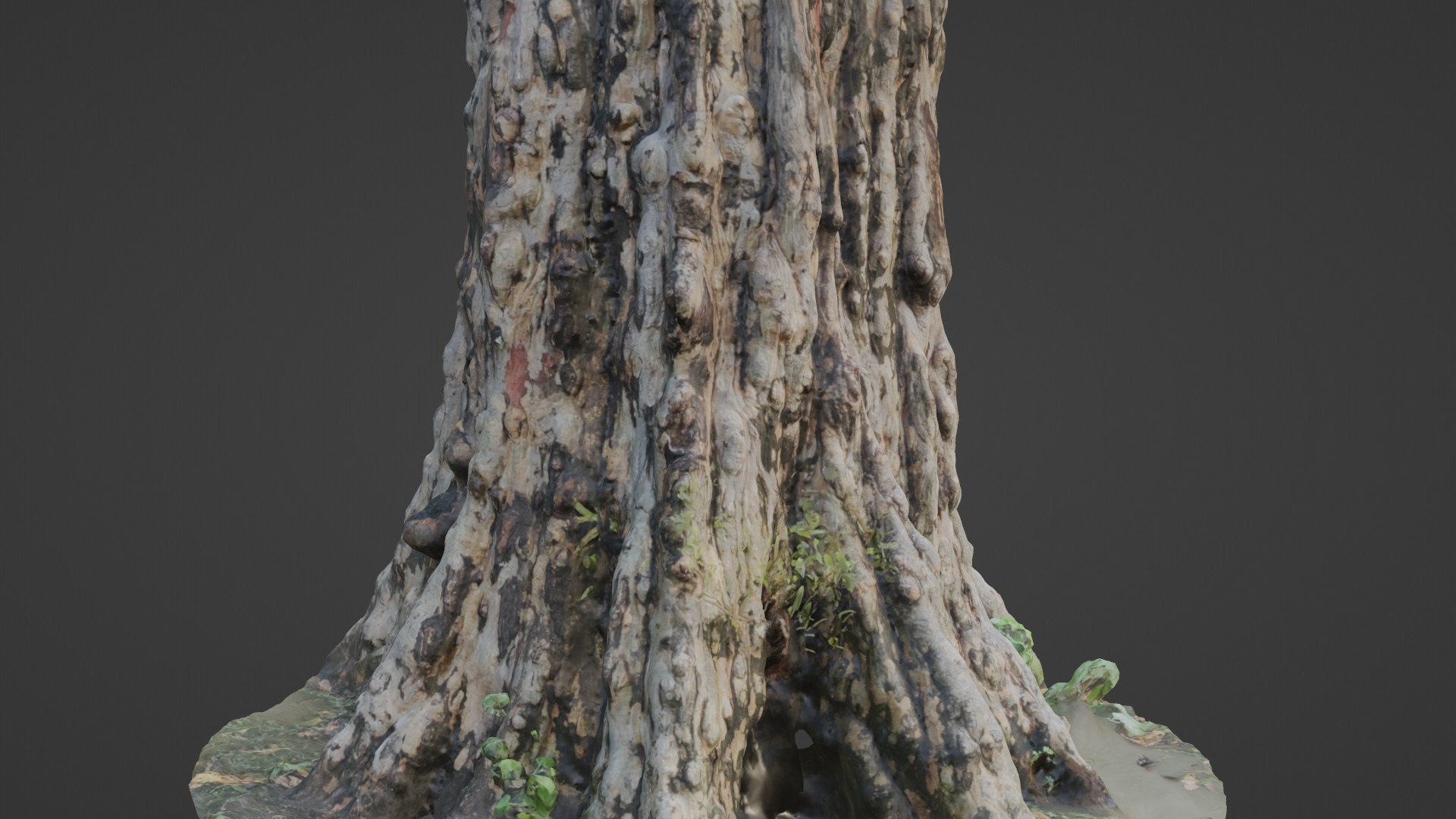 Tree Scan 3D - TurboSquid 2329663