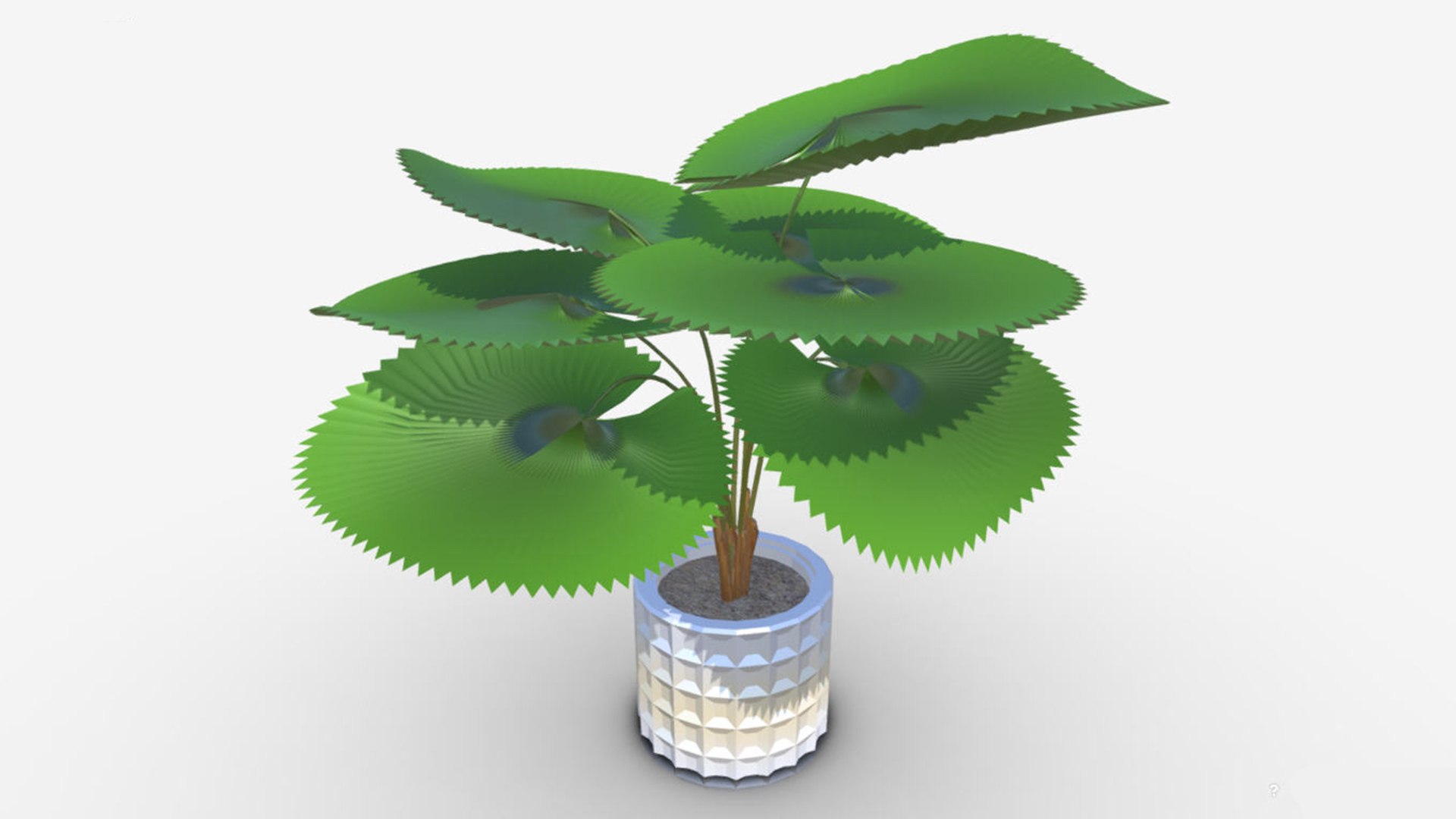 3D FanPalm Tree Model - TurboSquid 2240723