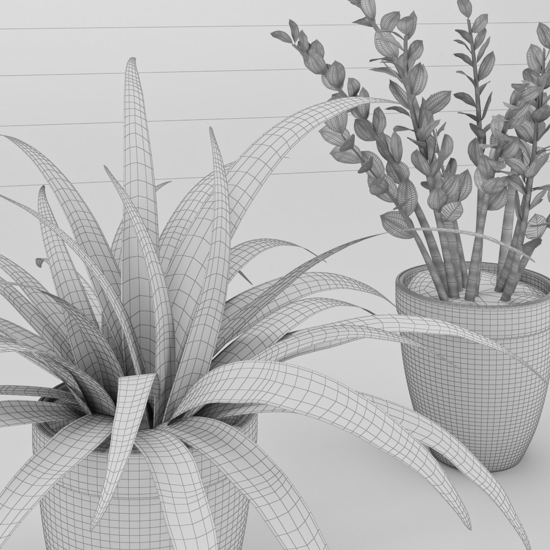 3D Plant Collection 9 - TurboSquid 1772440