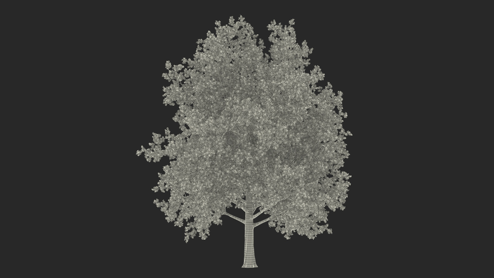 3D Realistic Maple Tree - TurboSquid 2193366
