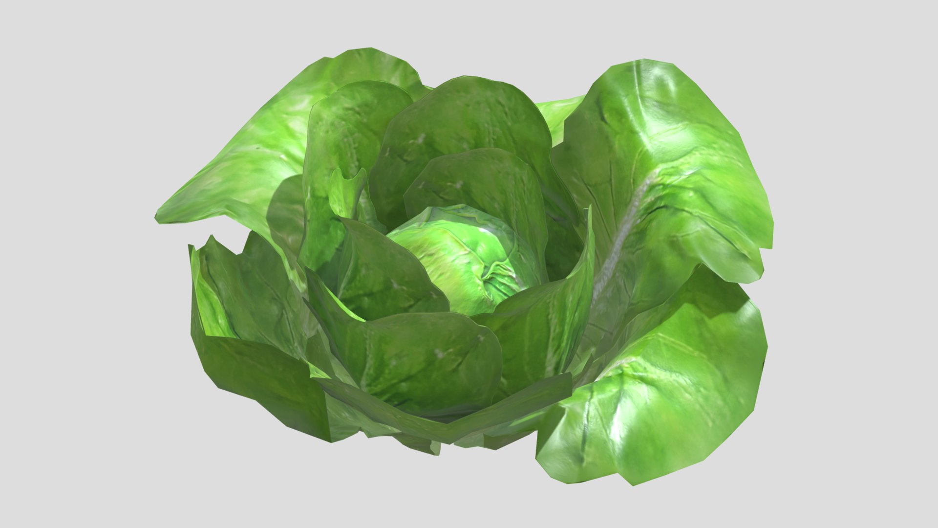 3D Lettuce Low Poly - TurboSquid 2274111