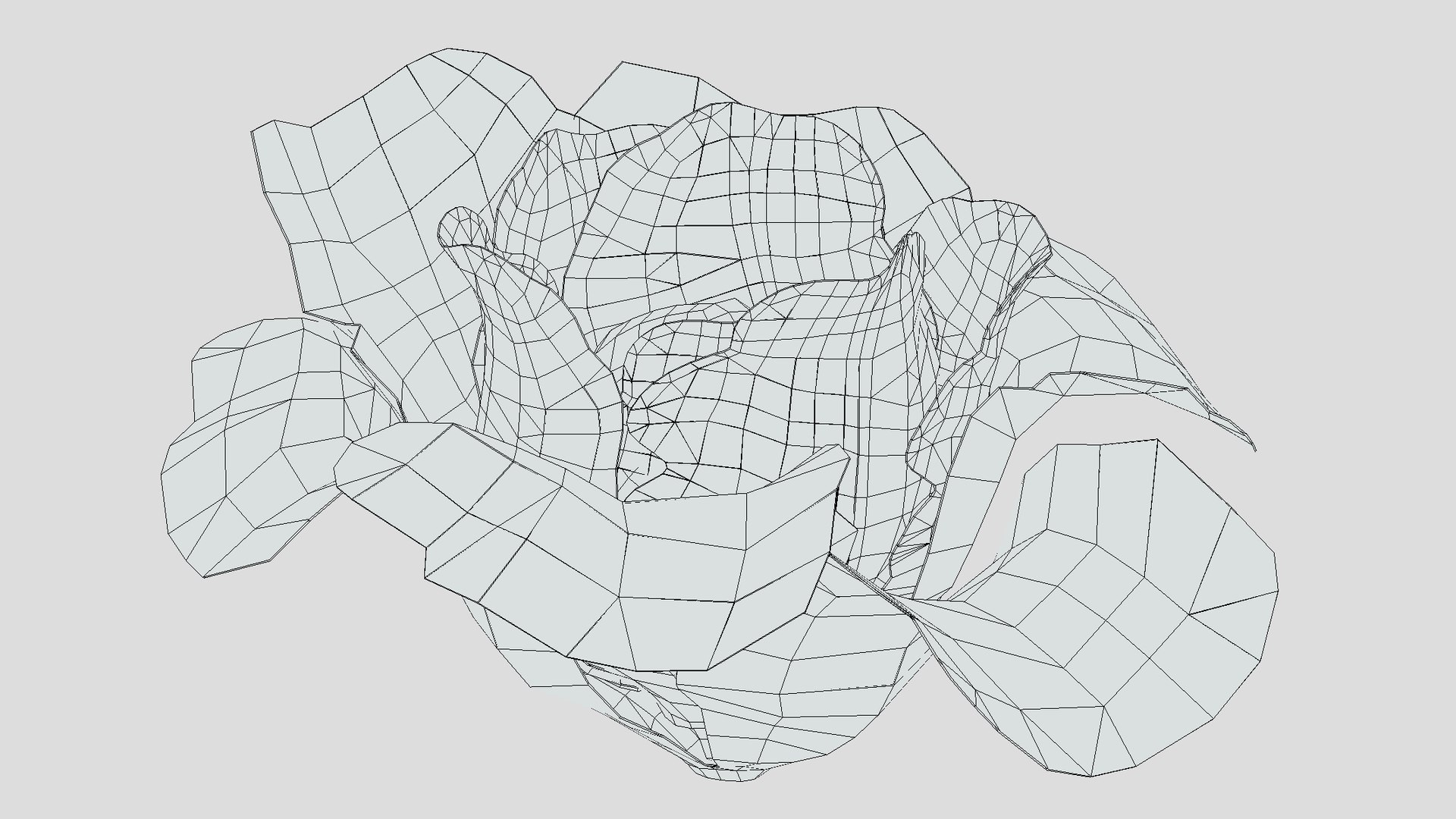 3D Lettuce Low Poly - TurboSquid 2274111