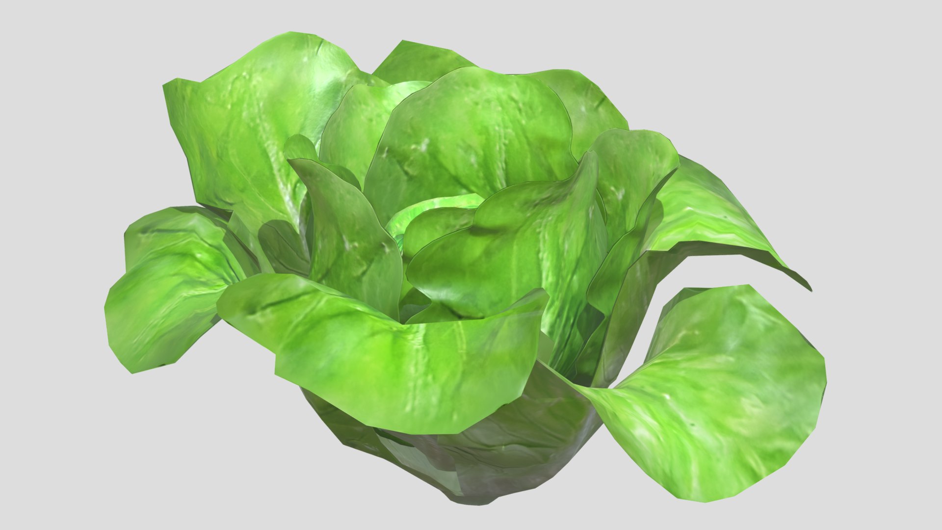 3D Lettuce Low Poly - TurboSquid 2274111