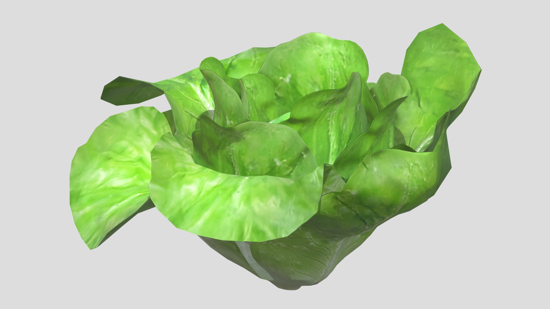 3D Lettuce Low Poly - TurboSquid 2274111
