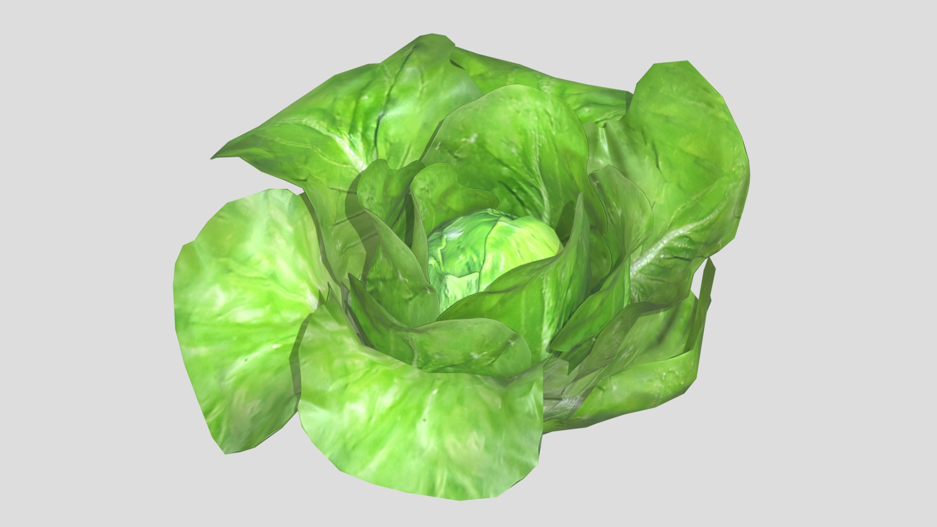 3D Lettuce Low Poly - TurboSquid 2274111