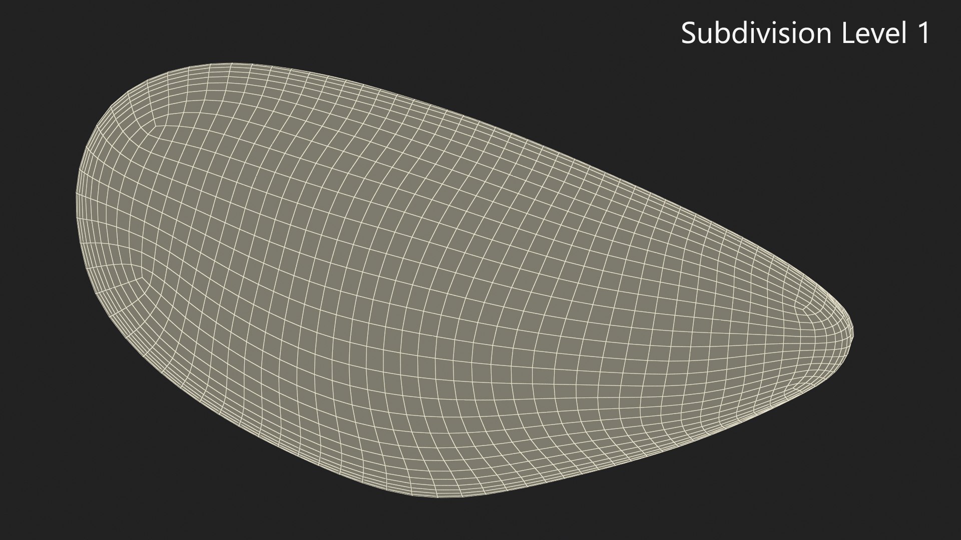 3D Closed Mussel Shell Model - TurboSquid 2227905