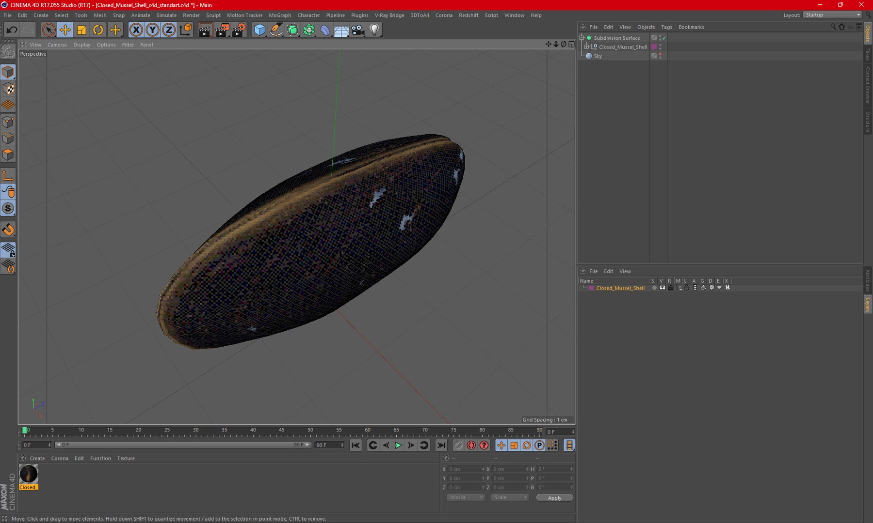 3D Closed Mussel Shell Model - TurboSquid 2227905