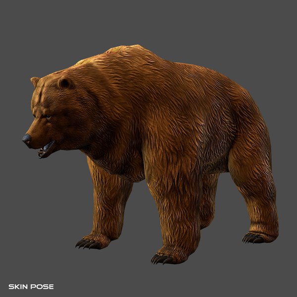 max brown bear animation