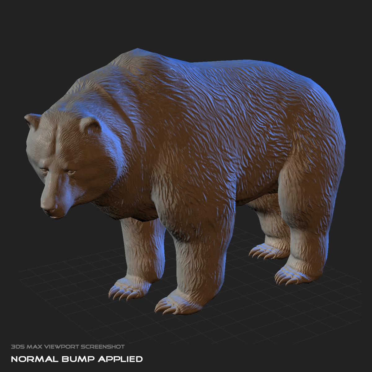 max brown bear animation