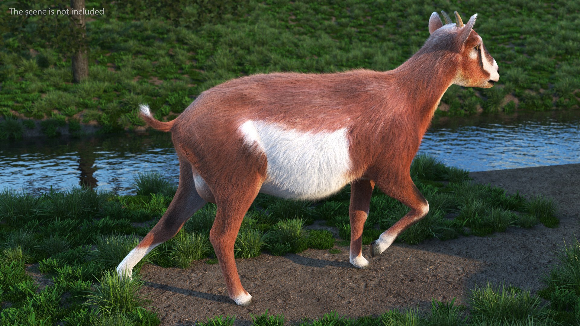 Walking Goat Fur 3D model - TurboSquid 1992021