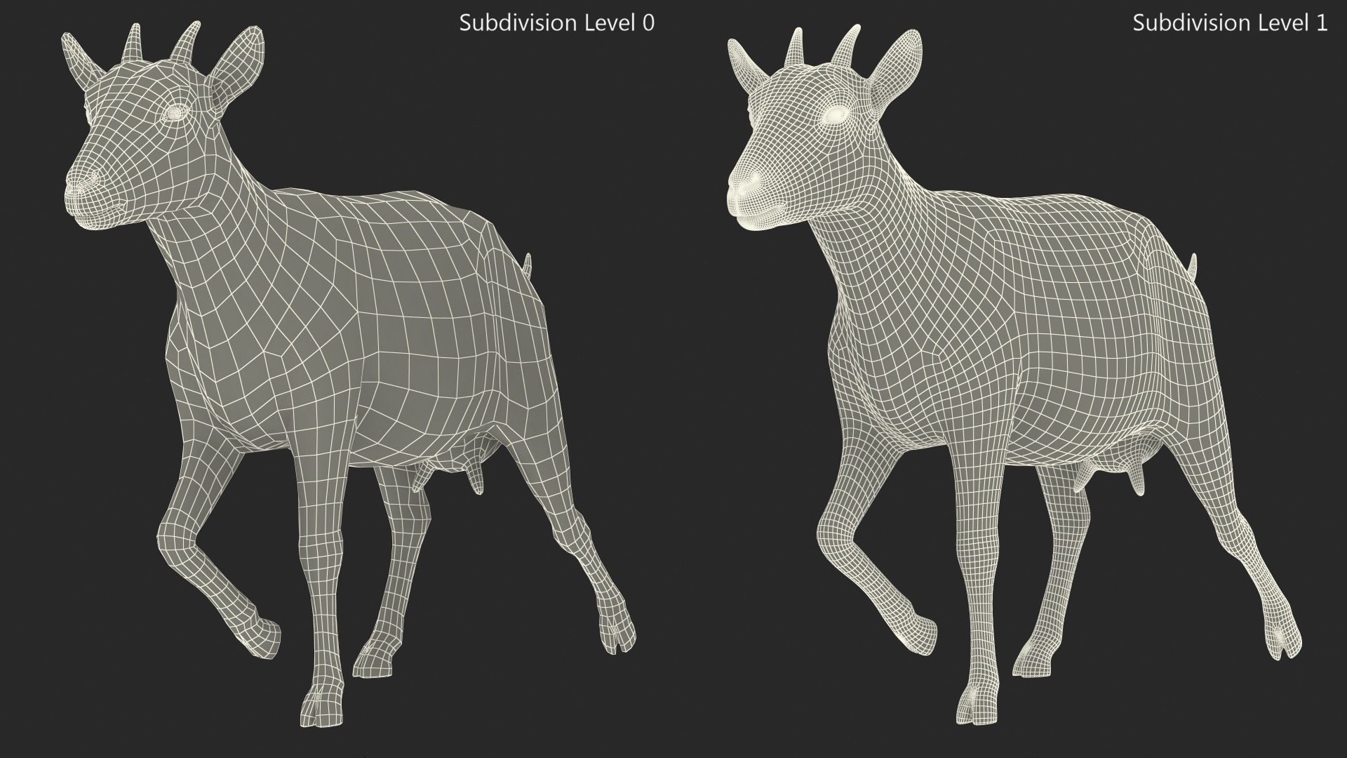 Walking Goat Fur 3D model - TurboSquid 1992021