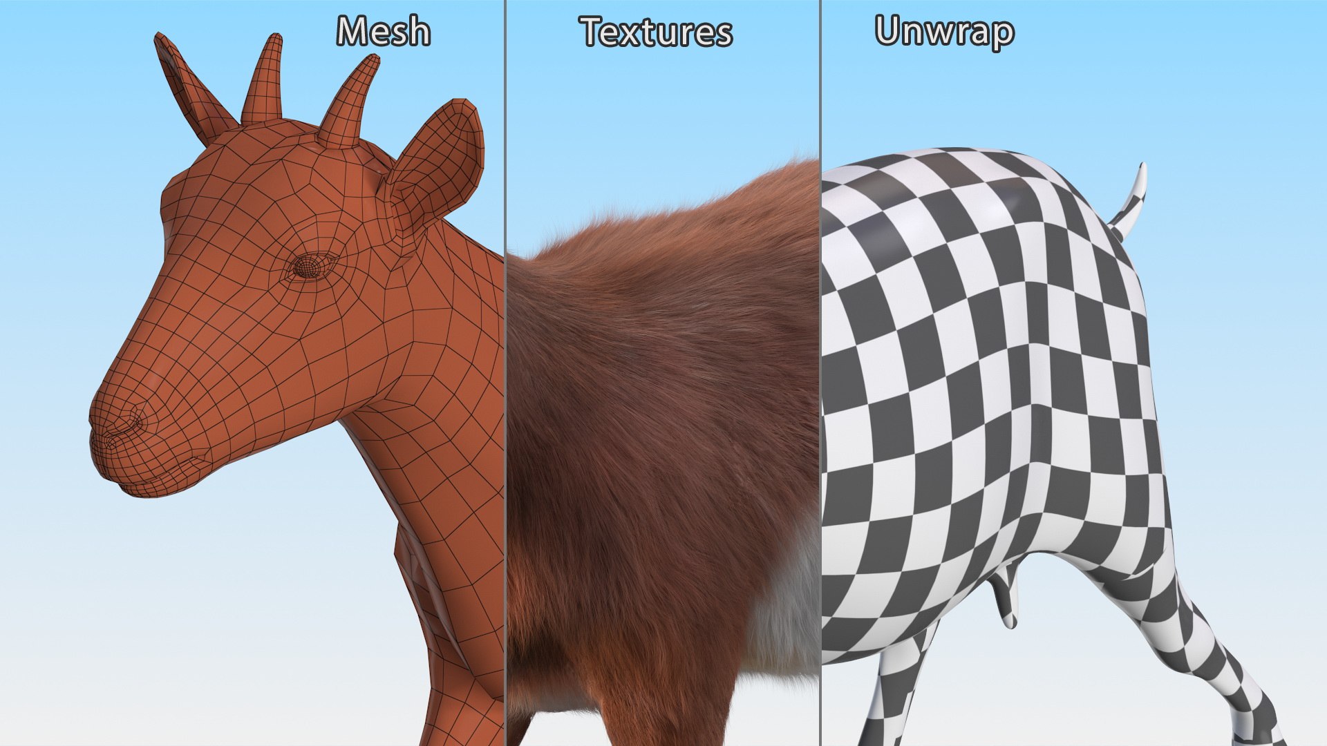 Walking Goat Fur 3D model - TurboSquid 1992021