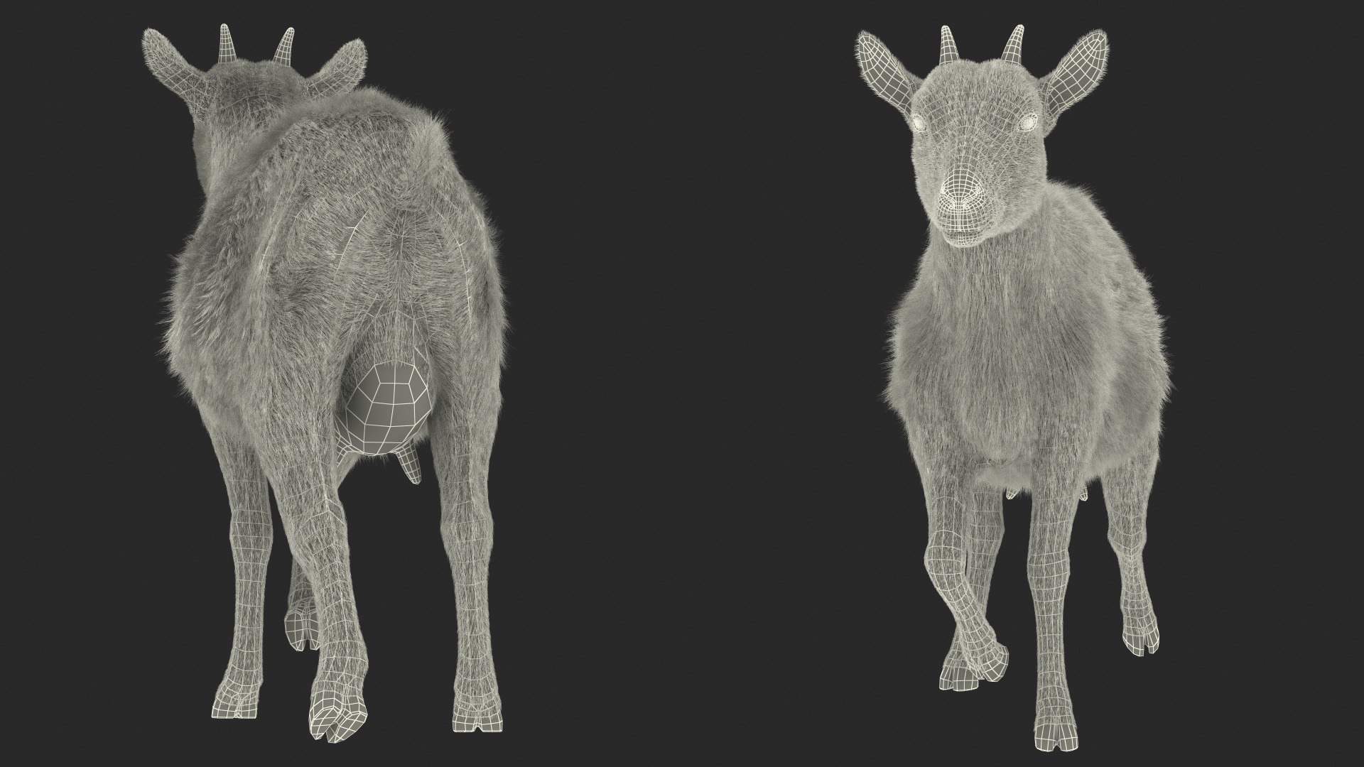 Walking Goat Fur 3D model - TurboSquid 1992021