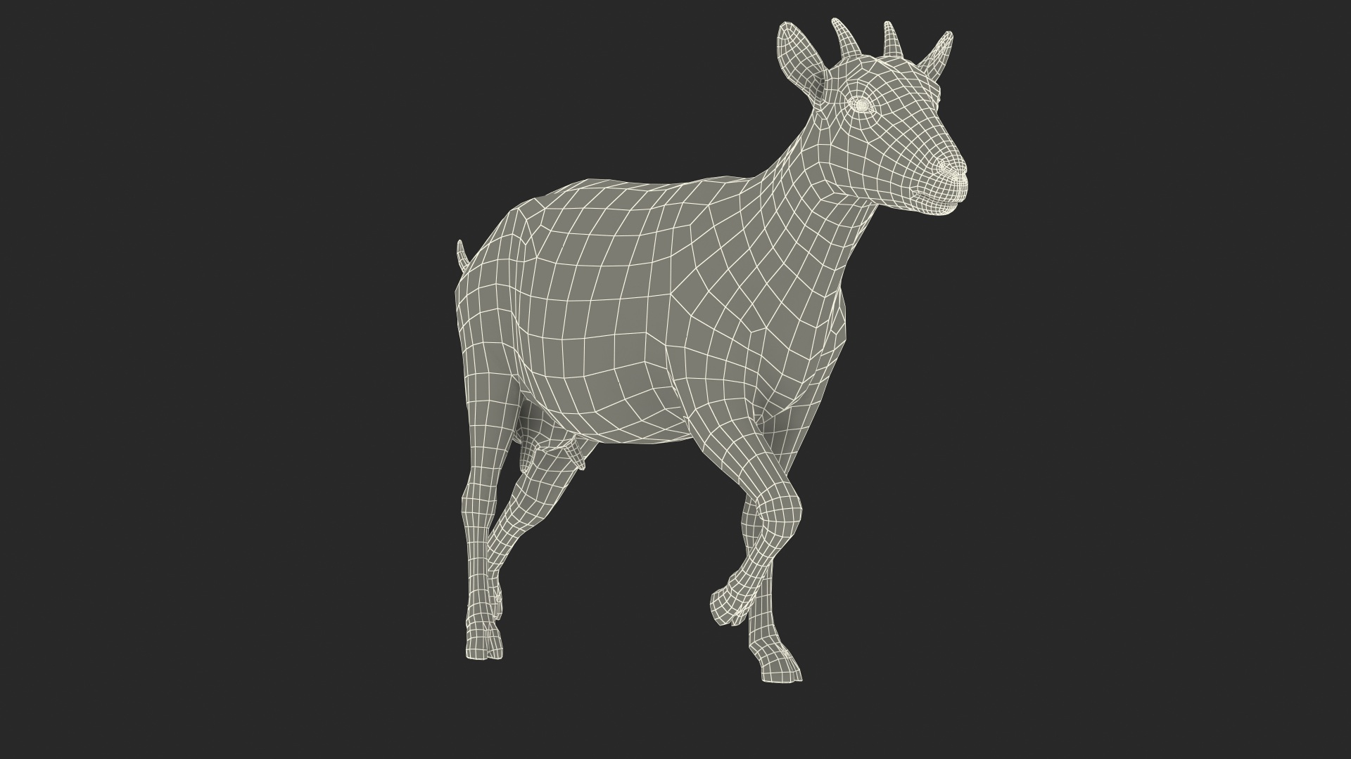 Walking Goat Fur 3D model - TurboSquid 1992021