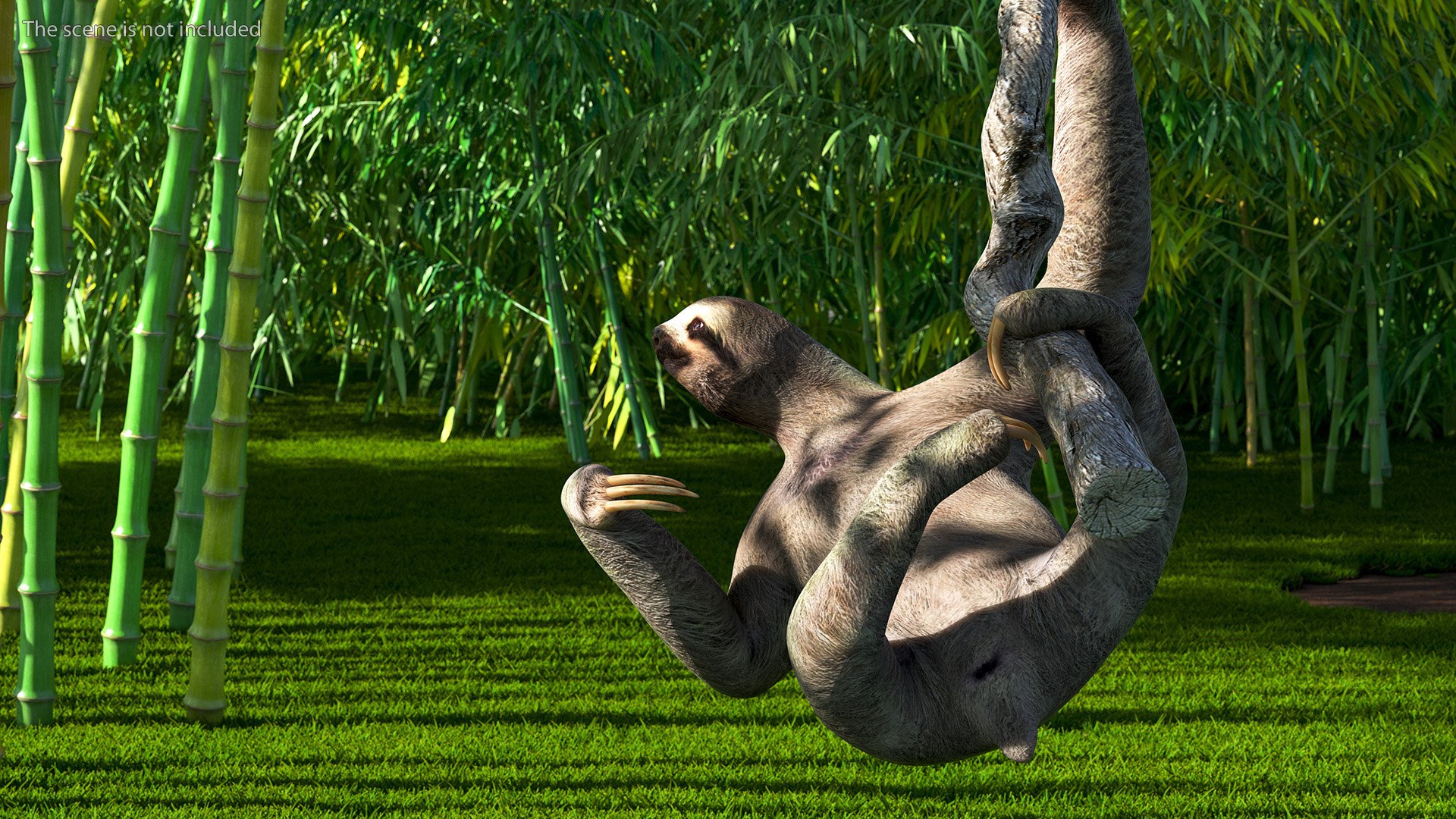 Sloth Hanging From A Branch 3D Model - TurboSquid 2181791