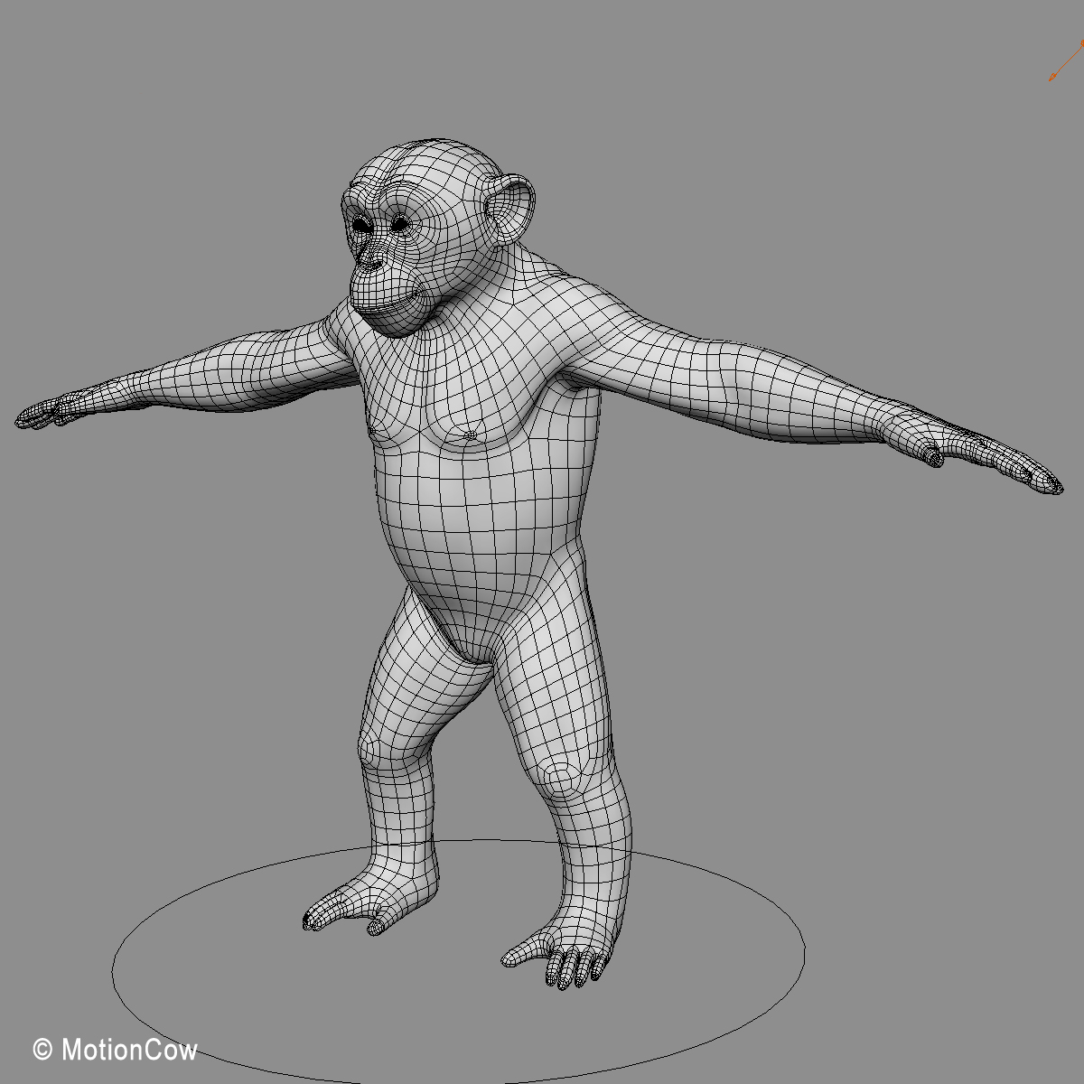 3d realistic rigged model