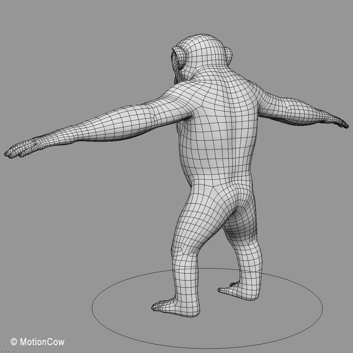 3d realistic rigged model