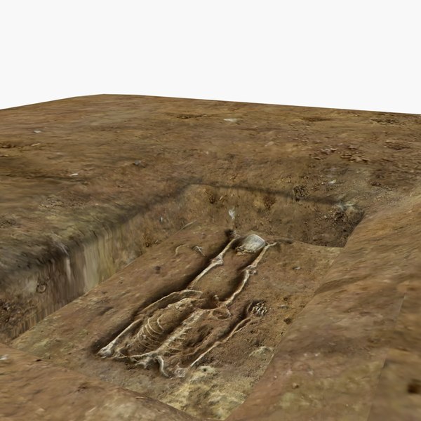 modelo 3d esqueleto arqueológico - TurboSquid 1939923