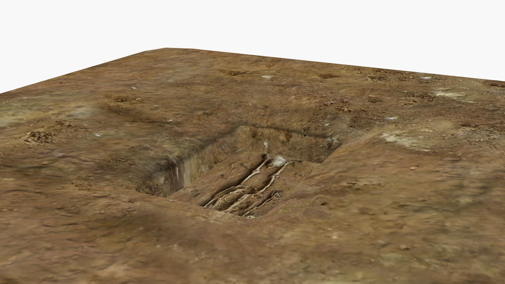 Archaeological skeleton 3D model - TurboSquid 1939923