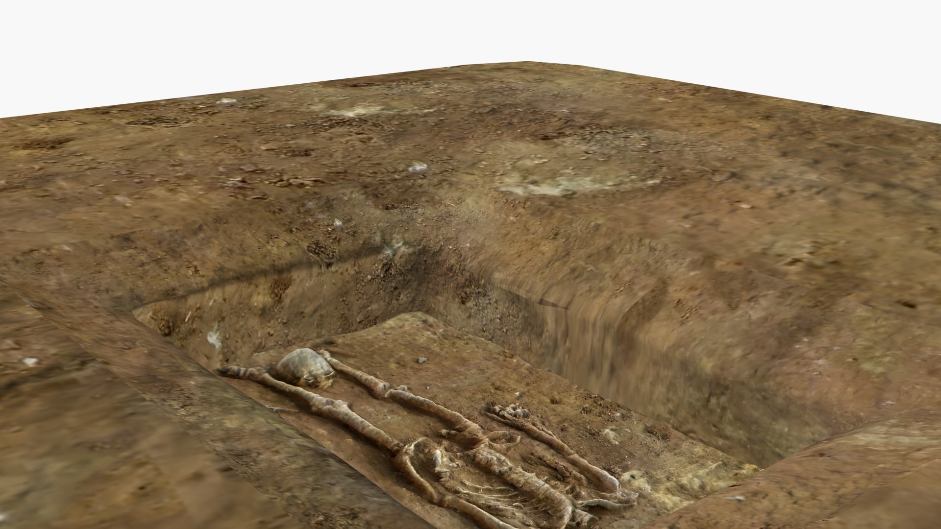 Archaeological skeleton 3D model - TurboSquid 1939923