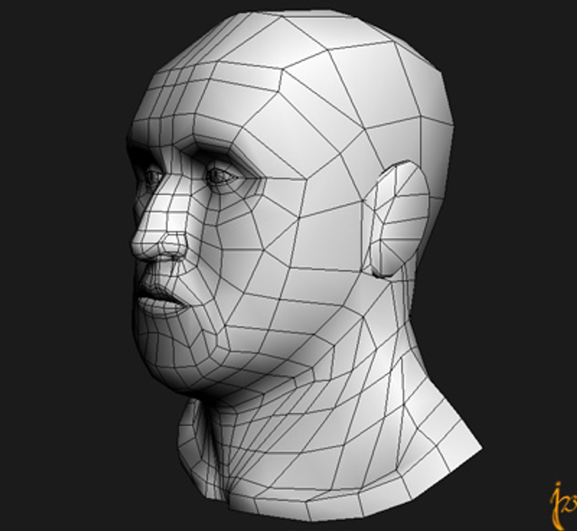 man topology 3d model