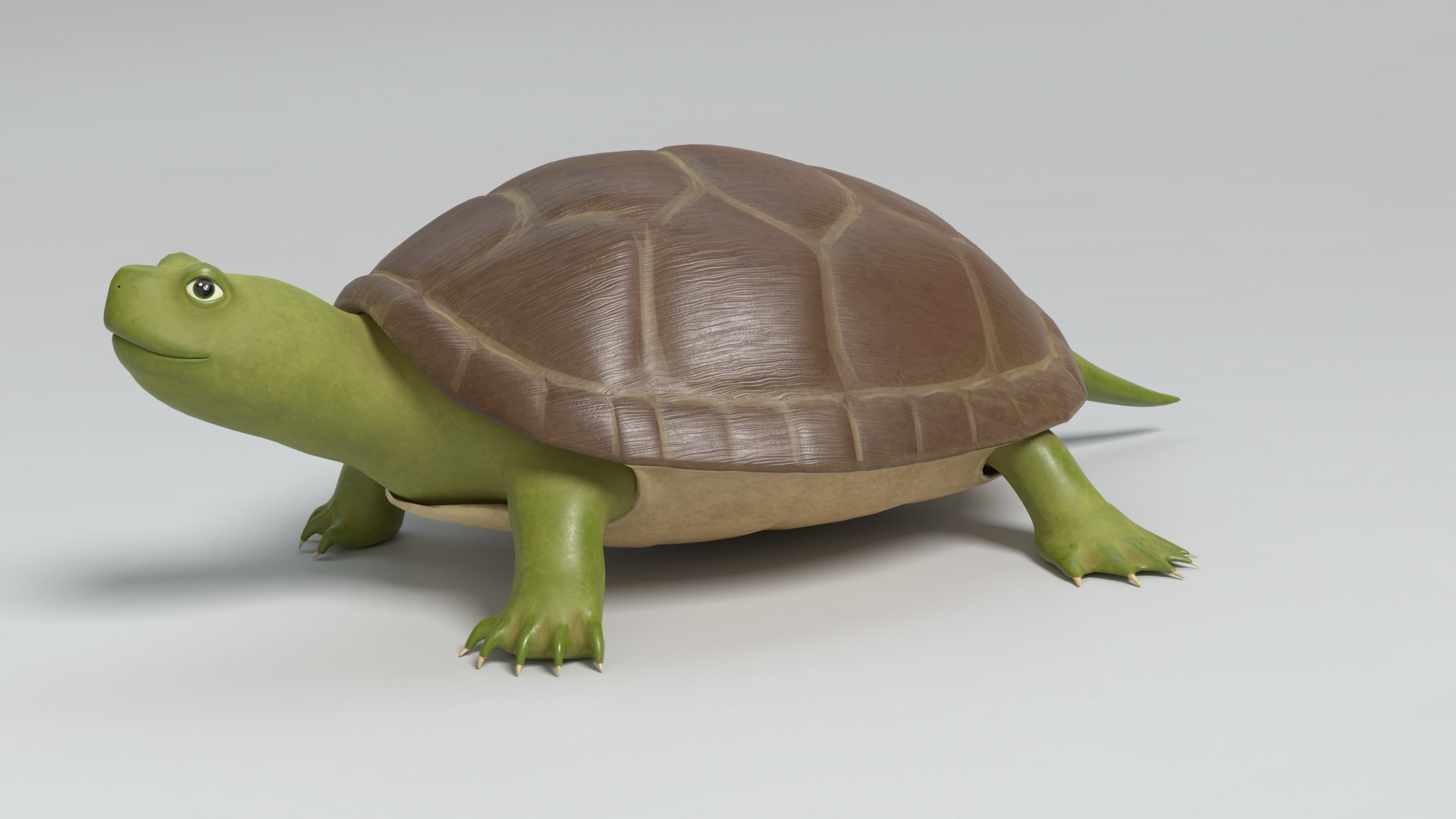 3D Cartoon Turtle - TurboSquid 1508442