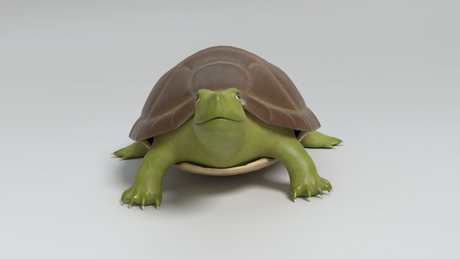 3D Cartoon Turtle - TurboSquid 1508442