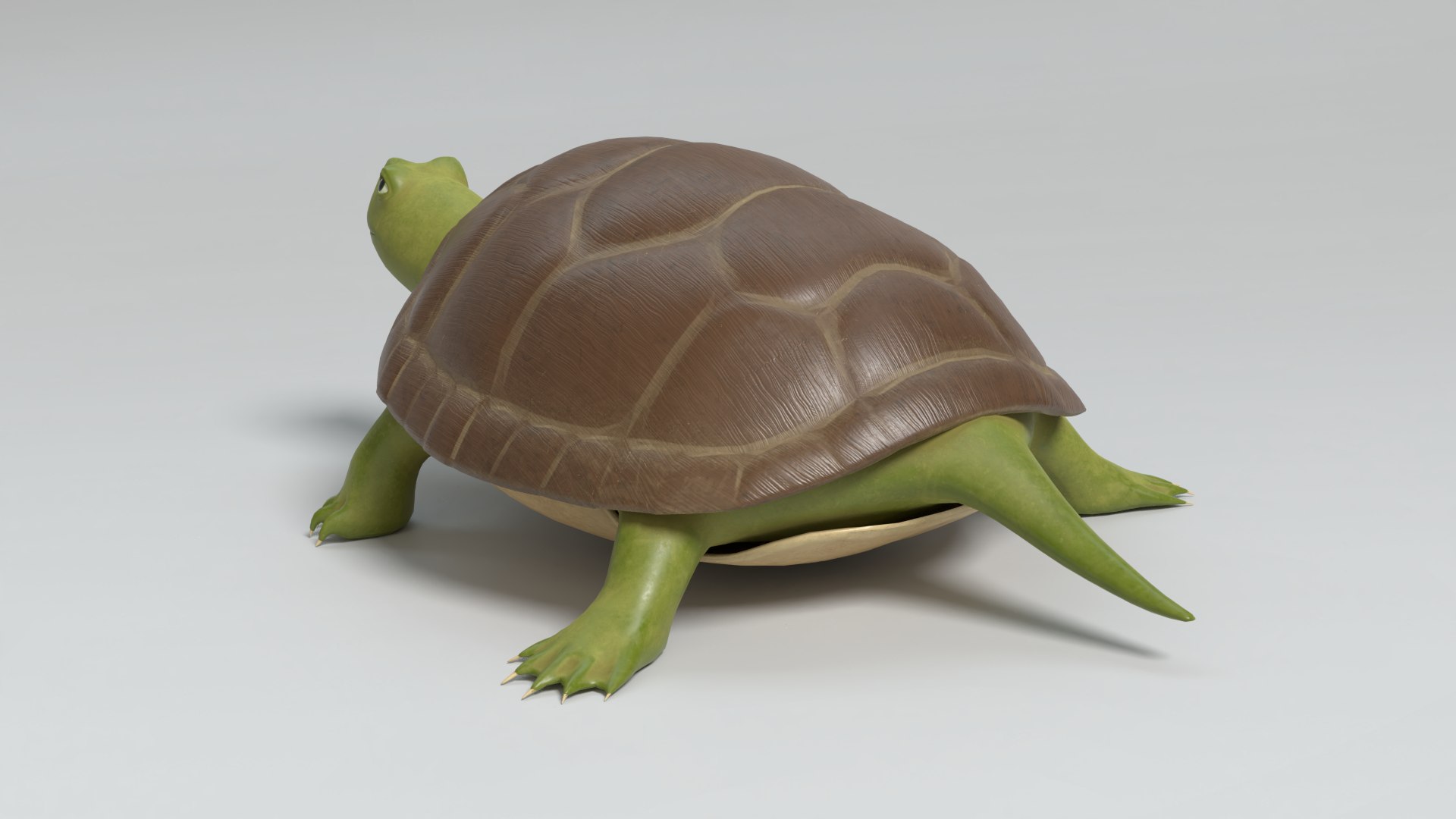 3D Cartoon Turtle - TurboSquid 1508442