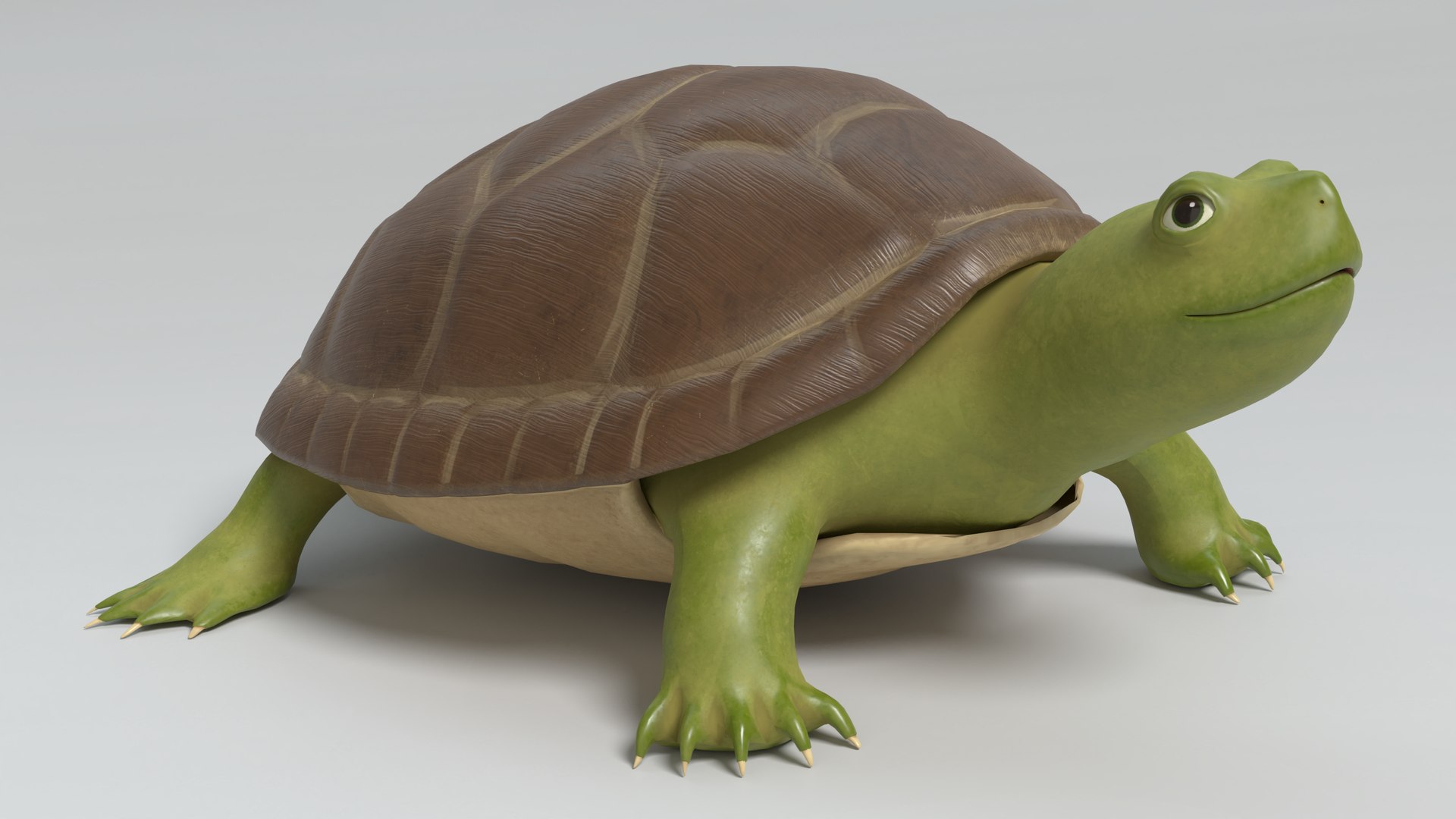 3D Cartoon Turtle - TurboSquid 1508442