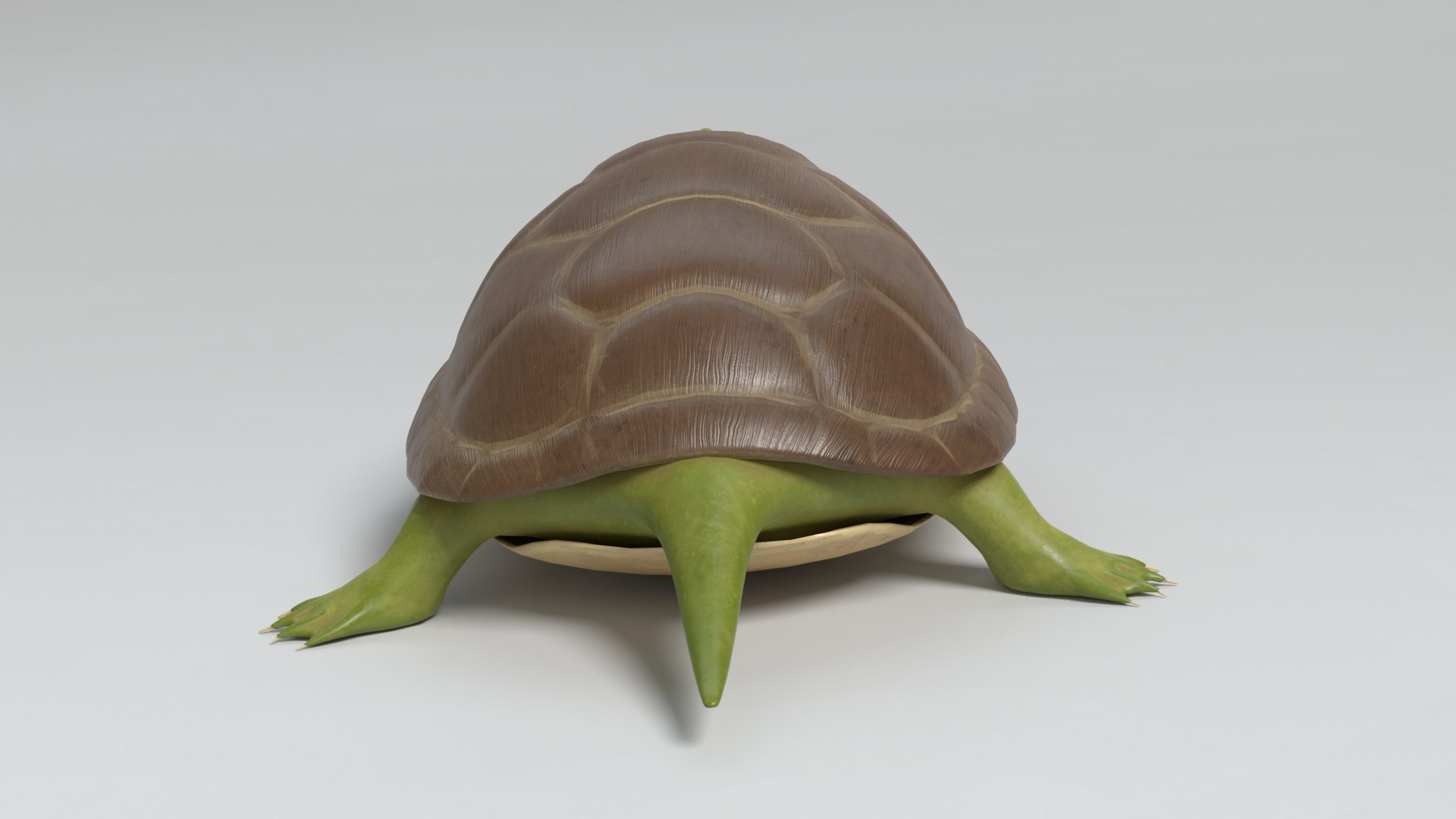 3D Cartoon Turtle - TurboSquid 1508442