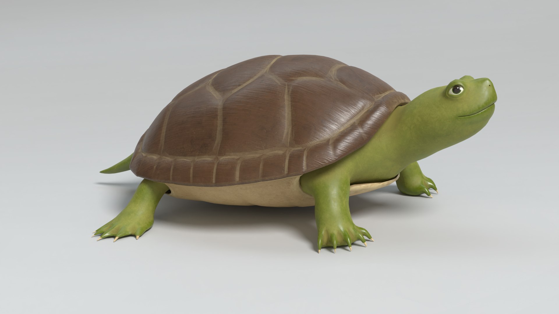 3D Cartoon Turtle - TurboSquid 1508442